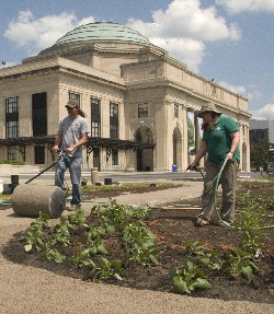 How green does your garden grow? - Association of Science and ...