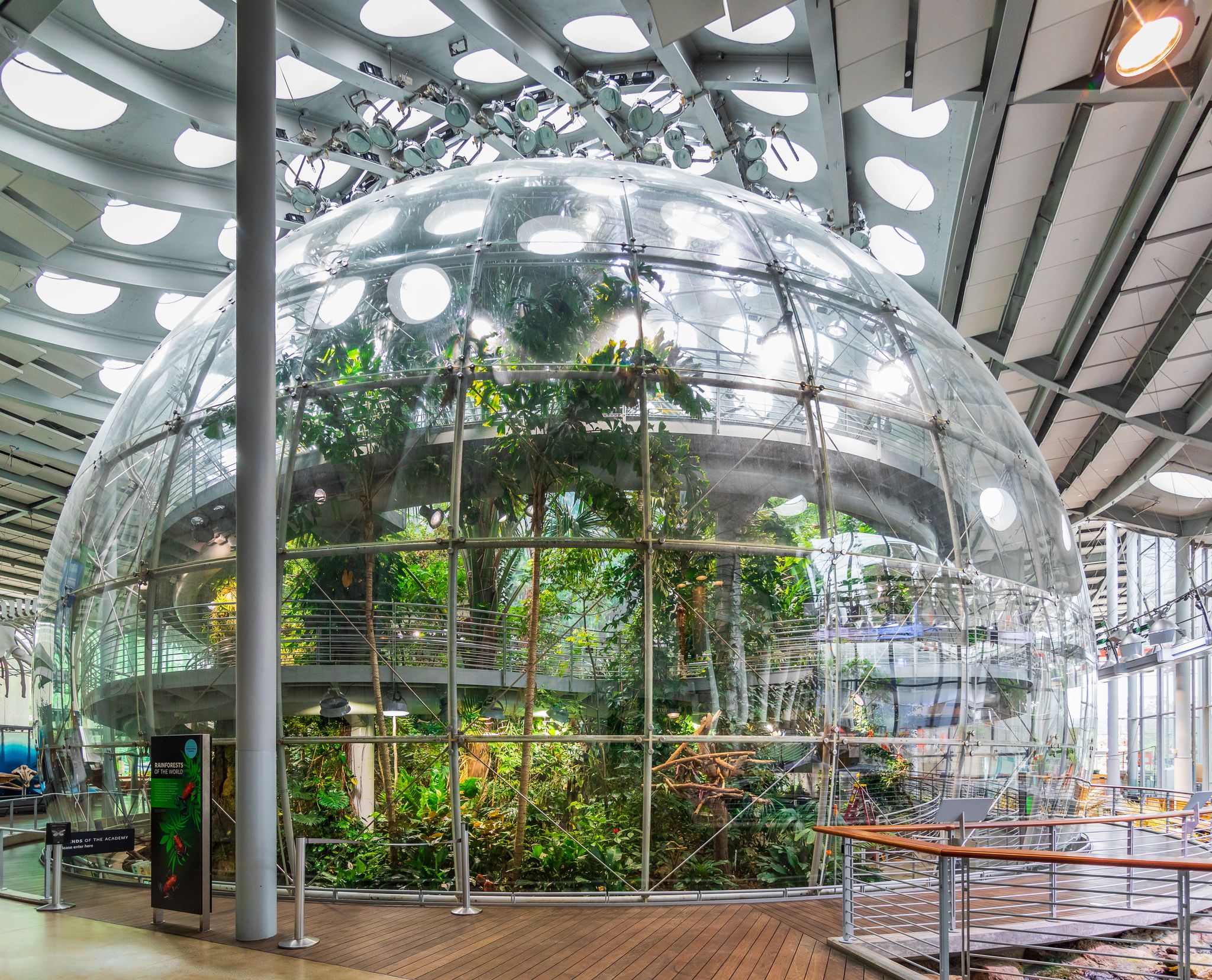 ASTC 2025 Host Spotlight: Q&A with the California Academy of Sciences ...
